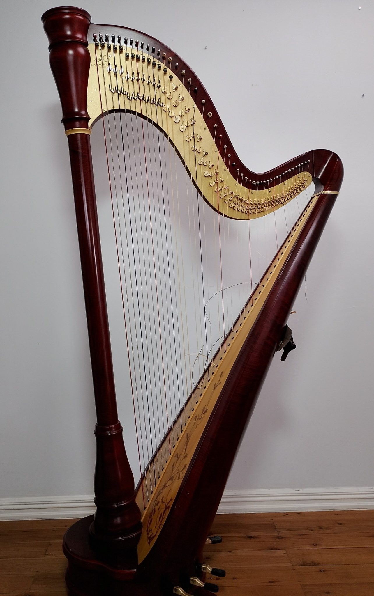 Our Harp Shop | By Harps and Harps